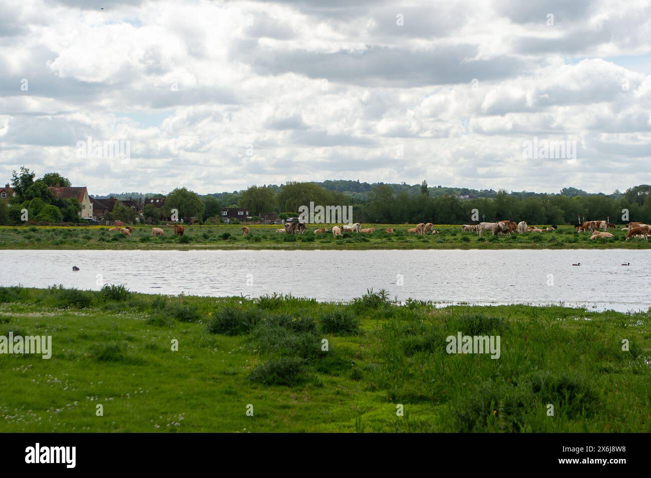 Dorney, UK. 15th May, 2024. Flooding on Dorney Common in ...