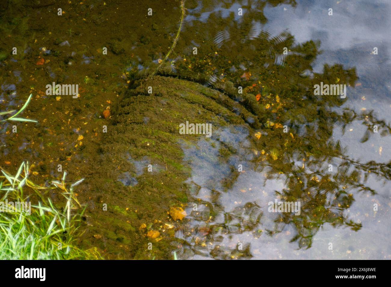 Dorney, UK. 15th May, 2024. Flooding on Dorney Common in ...