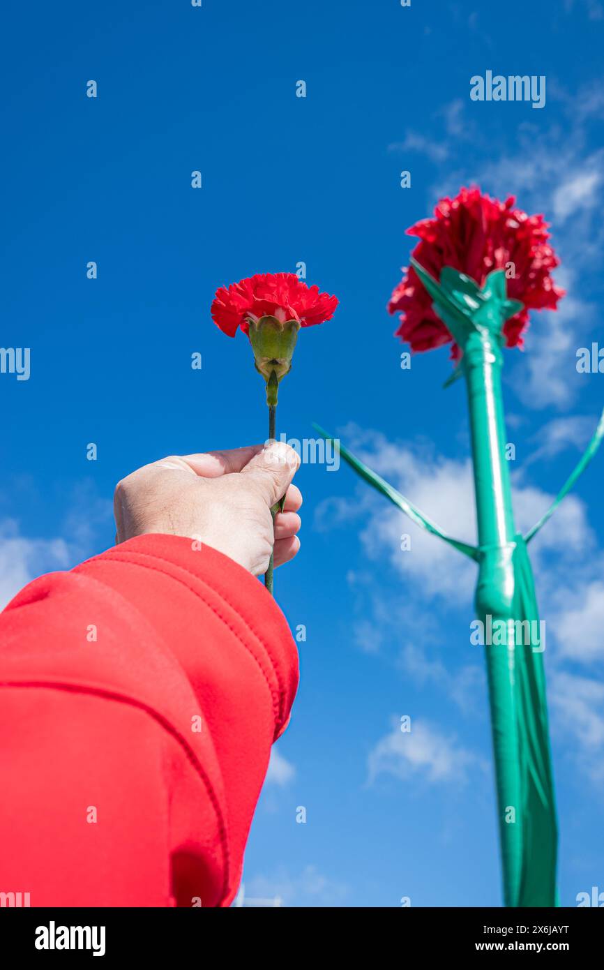 a hand holding a red carnation at the celebration of April 25th in ...