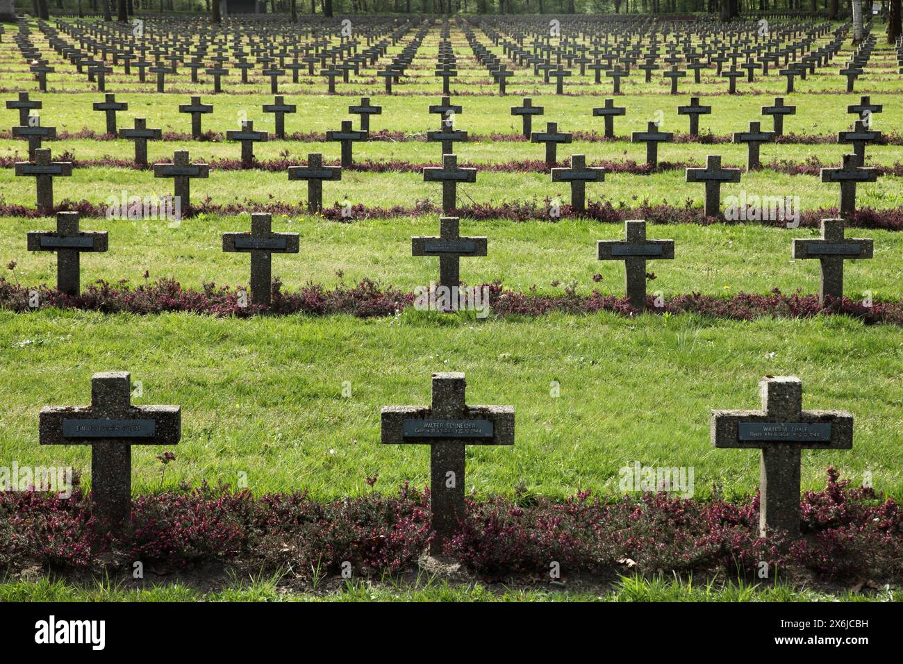 The Lommel German World War 2 Cemetery, final resting place of over ...