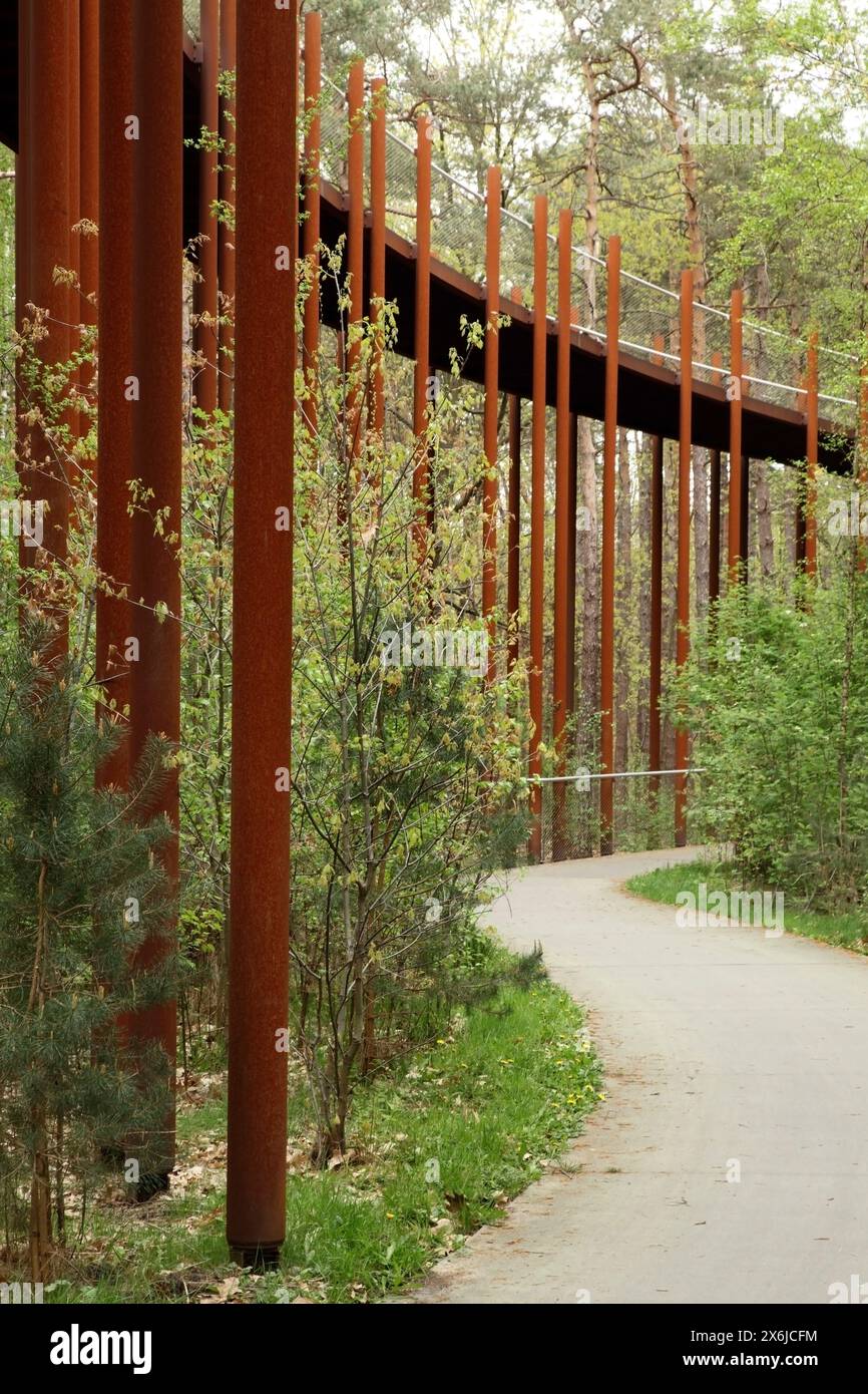 The "Cycling through trees" elevated cycle route in the Bosland ...