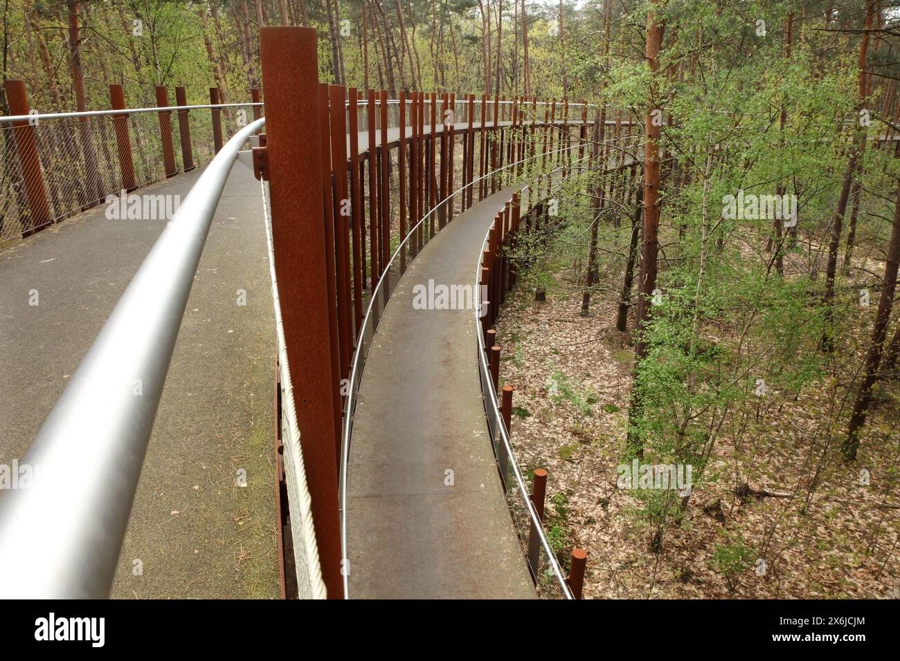 The "Cycling through trees" elevated cycle route in the Bosland ...