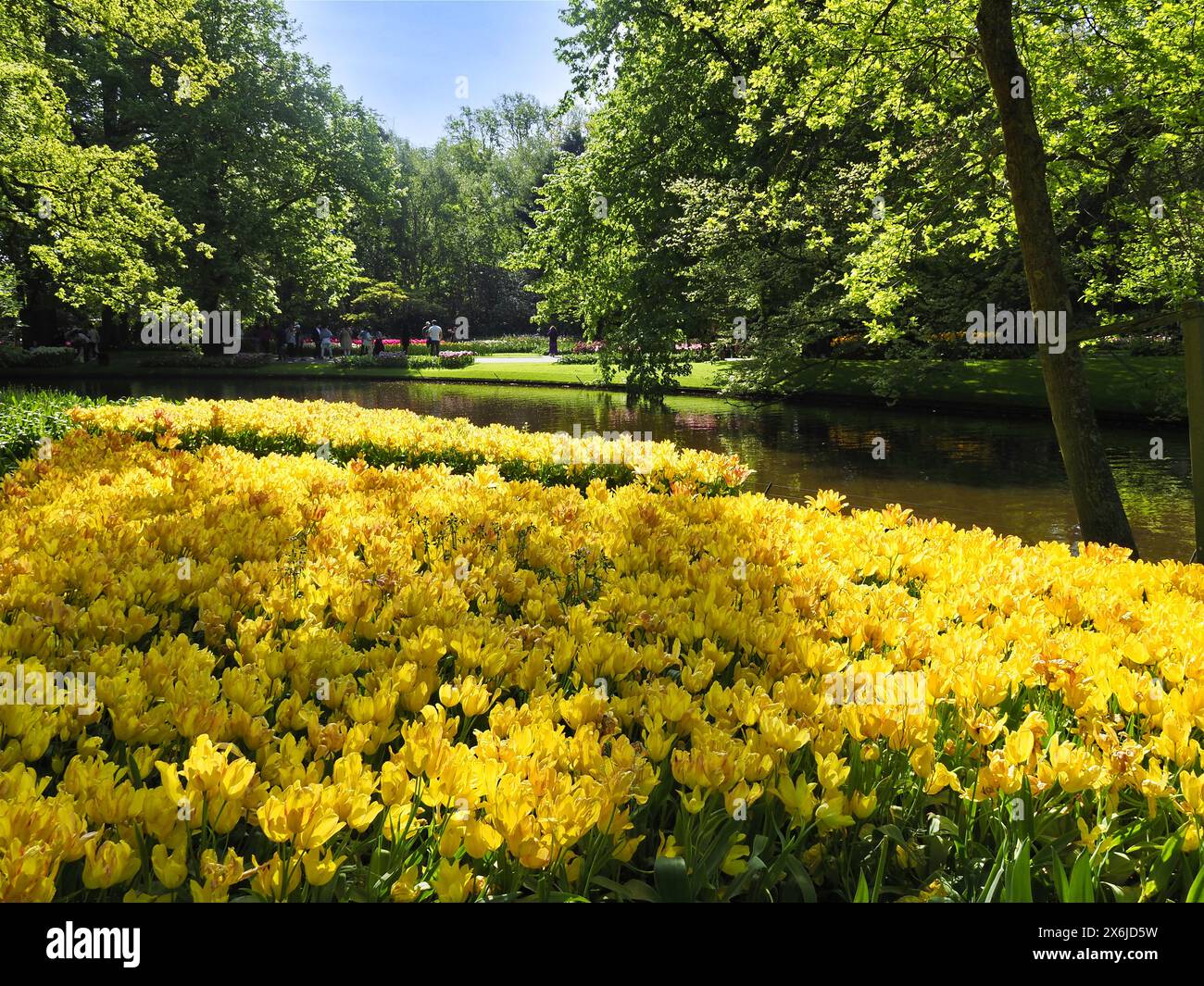 Keukenhof gardens lake hi-res stock photography and images - Alamy