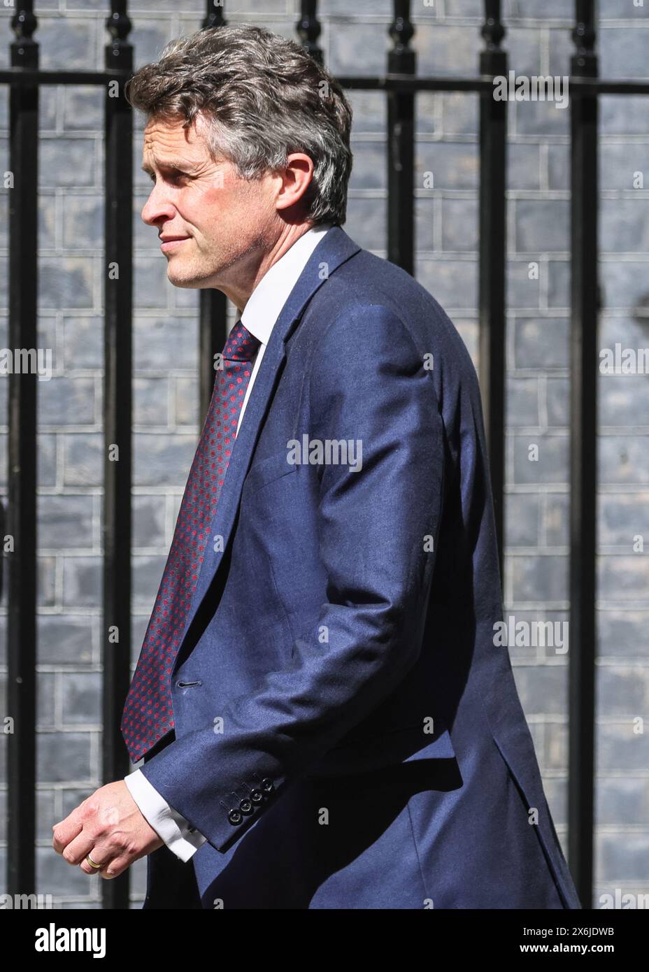 Gavin williamson whip hi-res stock photography and images - Alamy