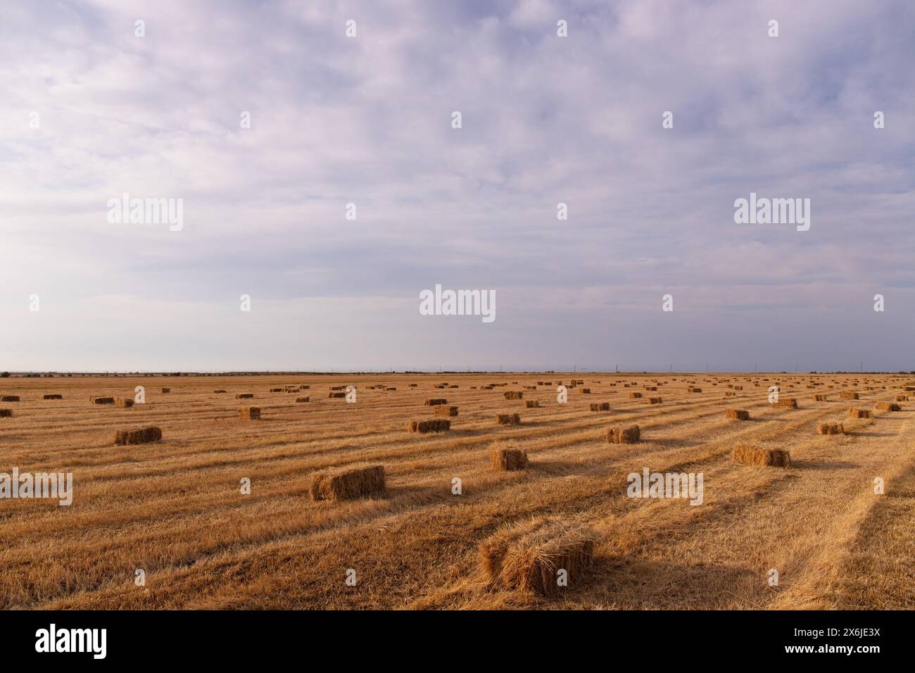 Small square bales hi-res stock photography and images - Alamy