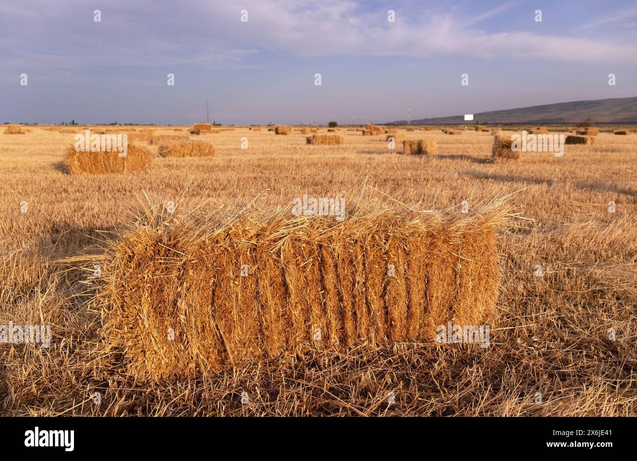 Square hay bales on hi-res stock photography and images - Alamy