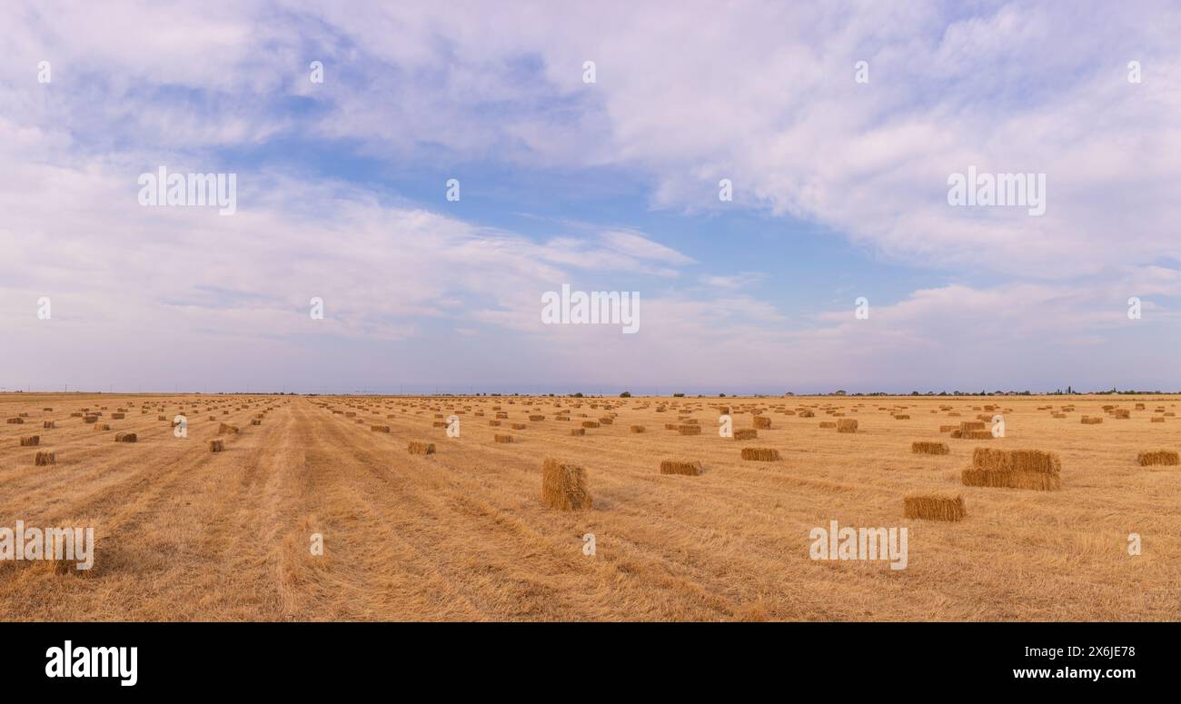 Small square straw bales hi-res stock photography and images - Alamy