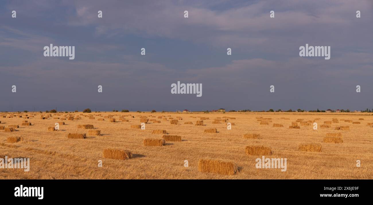 Small square bales hi-res stock photography and images - Alamy