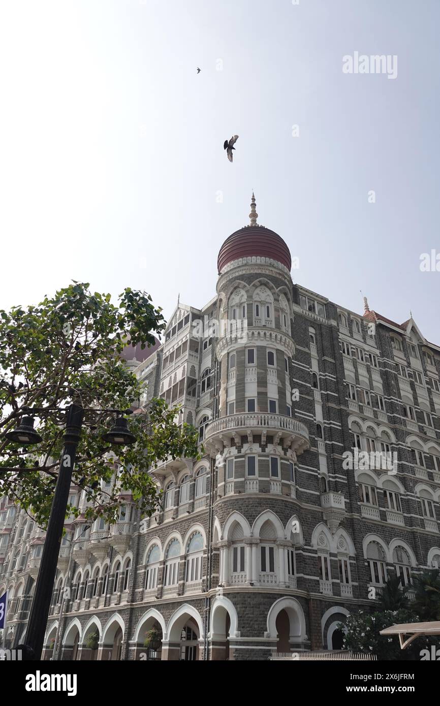 Taj mahal palace and tower mumbai hi-res stock photography and images ...