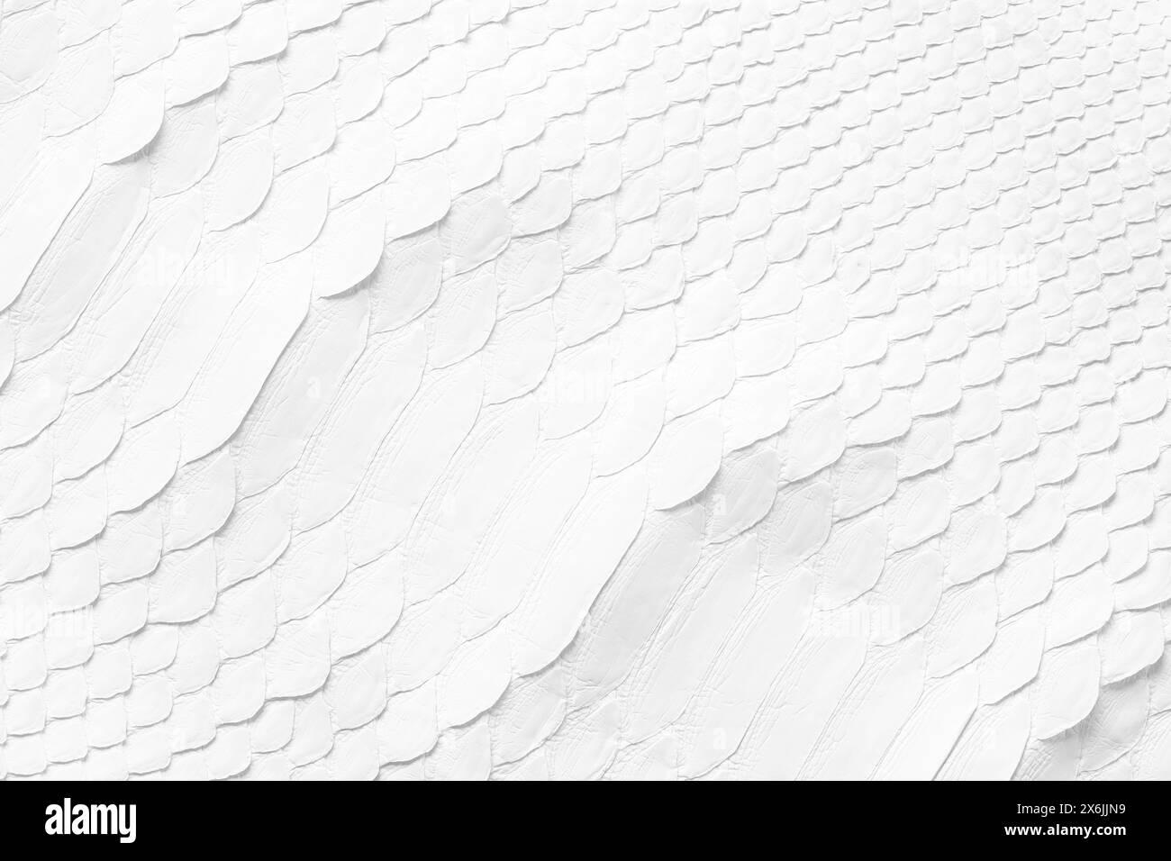 natural snake skin as a background. white snakeskin texture Stock Photo ...
