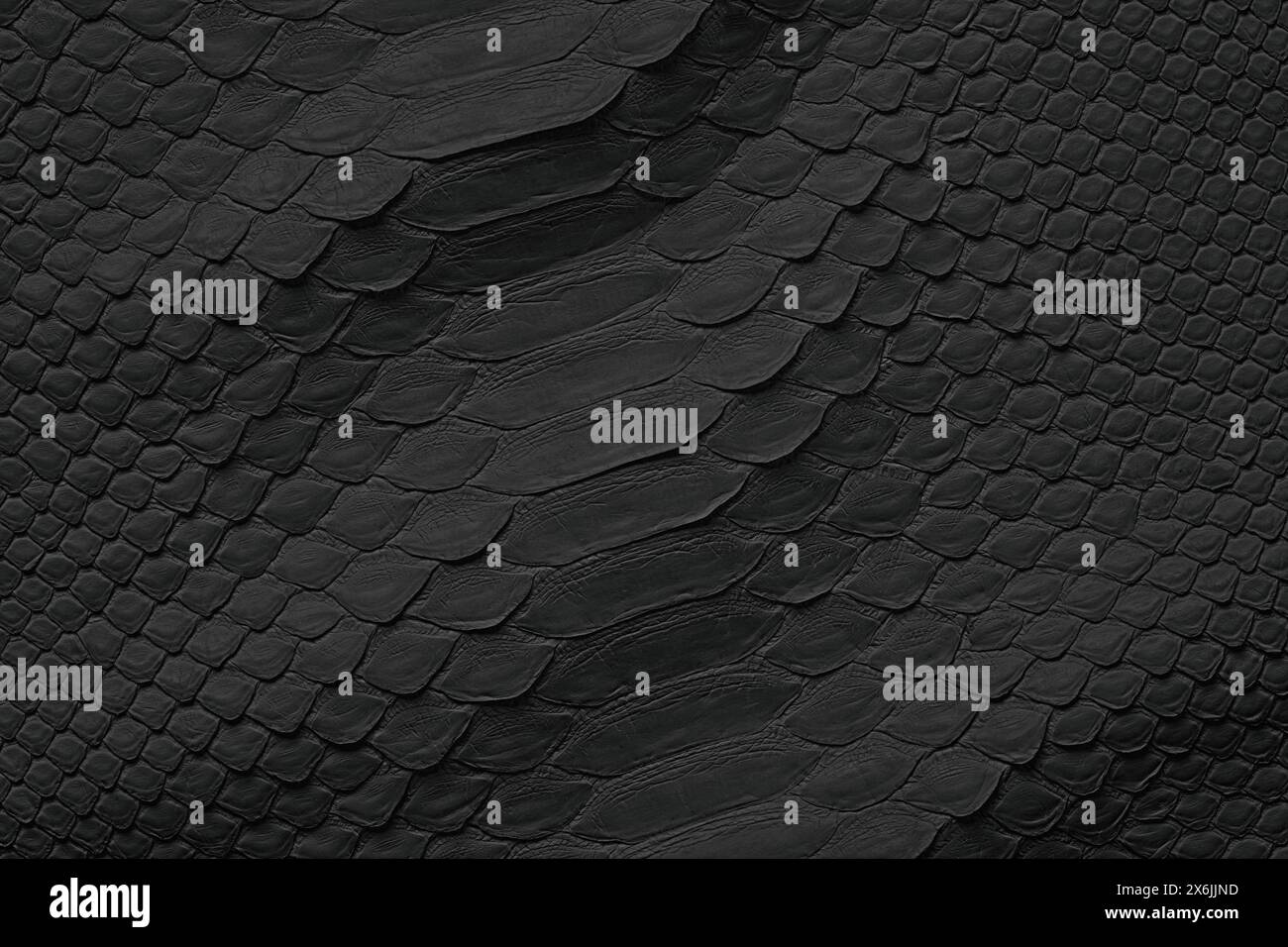 Black leather texture with empty space. snakeskin background Stock ...