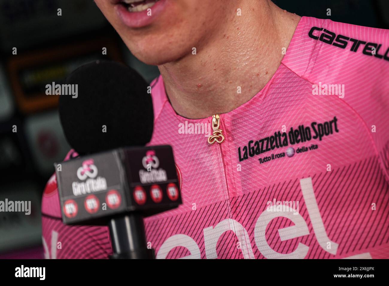 Pogacar Tadej (Team Uae Emirates) Pink Jersey of the stage 11 of the of ...