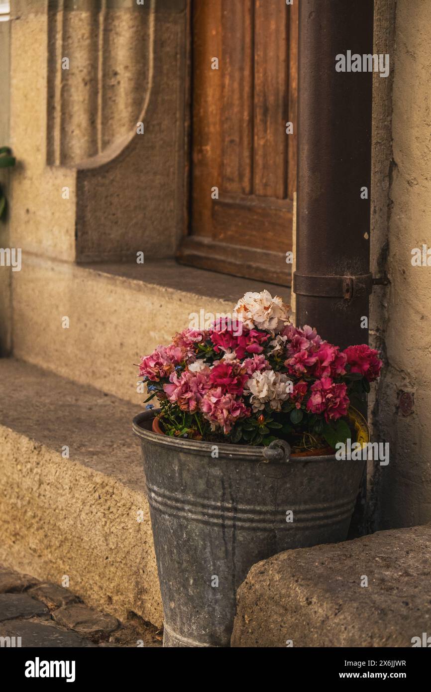 Beautiful old town freiburg hi-res stock photography and images - Alamy