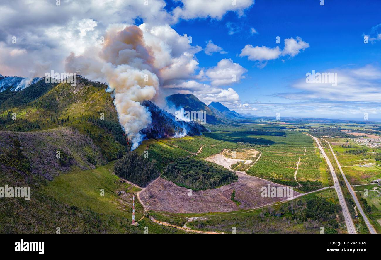 Brennender wald hi-res stock photography and images - Alamy