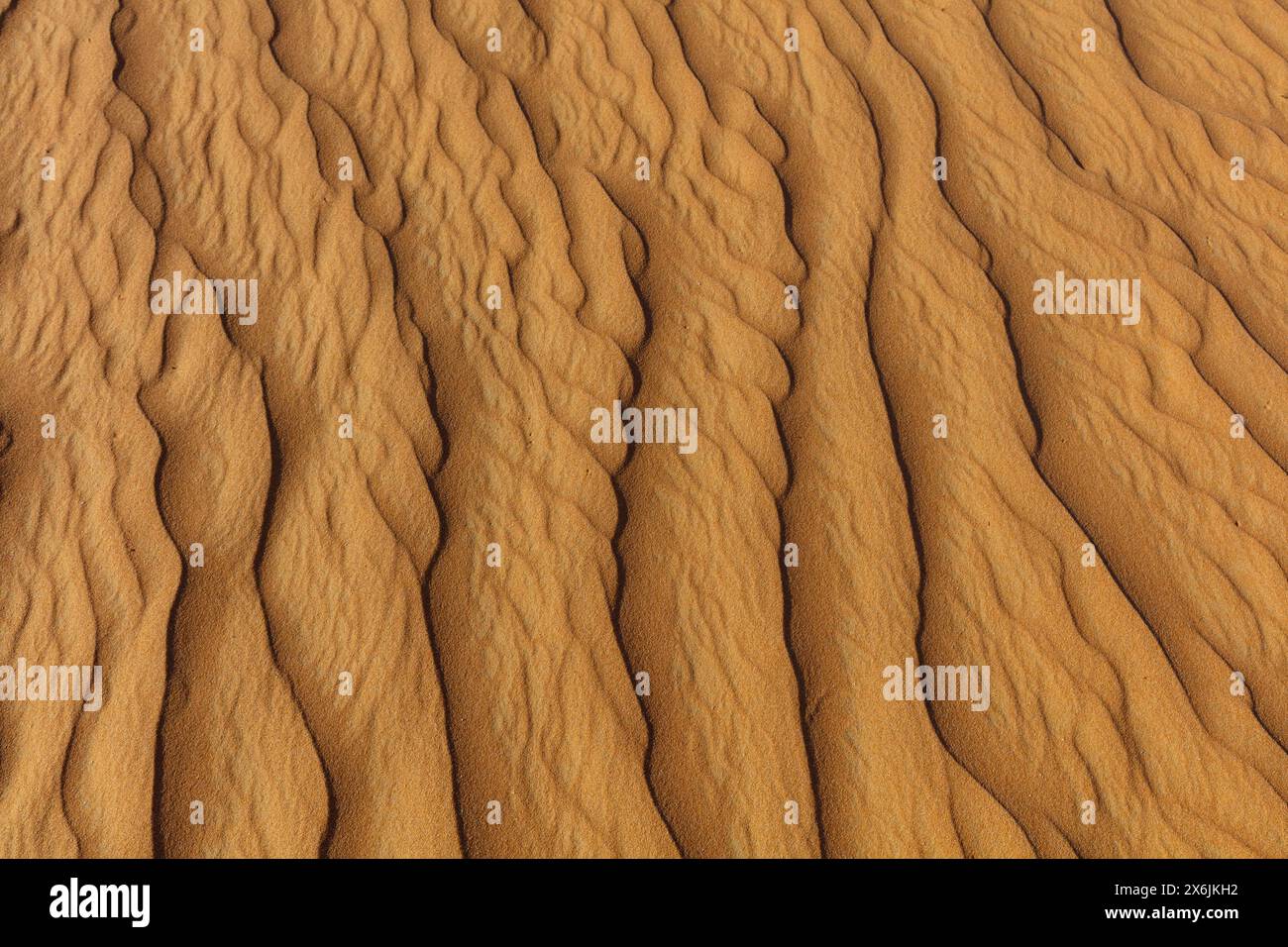 Landschaft im Oman, Oman, Sand, Wüste, Düne, Dünen, Dünenformation ...