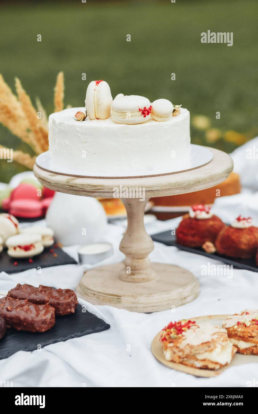 Family park picnic cake hi-res stock photography and images - Alamy
