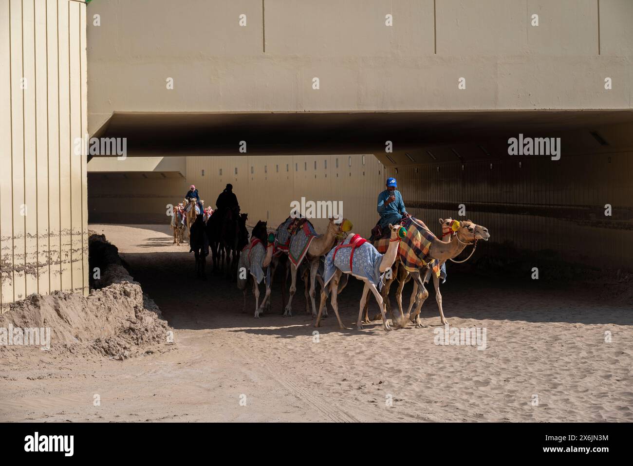 Tunnel only for camels hi-res stock photography and images - Alamy