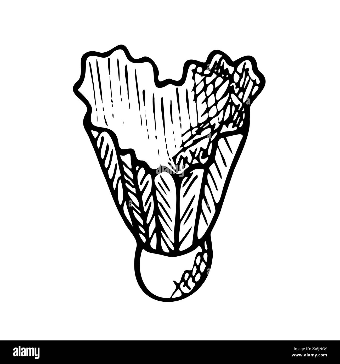 Badminton shuttlecock drawn in Stock Vector Images - Alamy