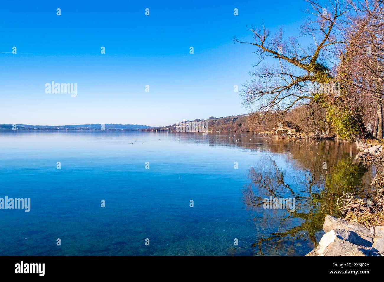 View of Lake Sempach with blue sky, Sempach, Switzerland Stock Photo ...
