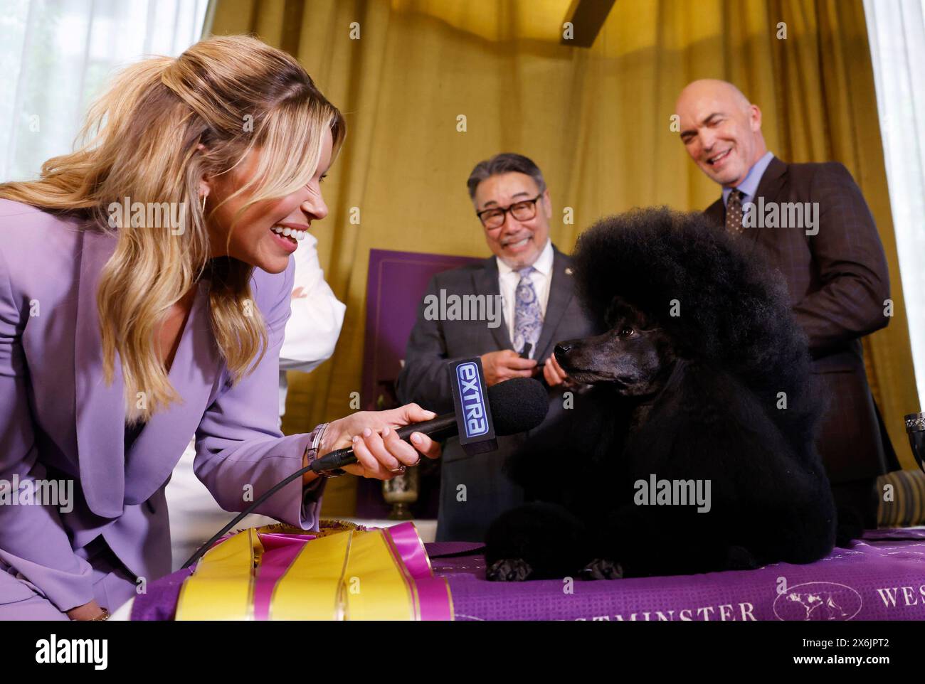 Jenny taft hi-res stock photography and images - Alamy