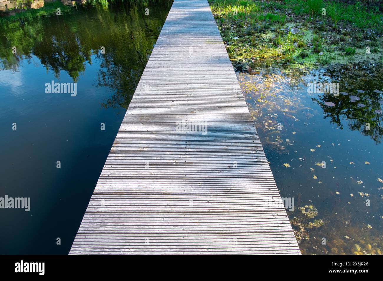 Footbridge at the pond in the natural garden, practical nature ...