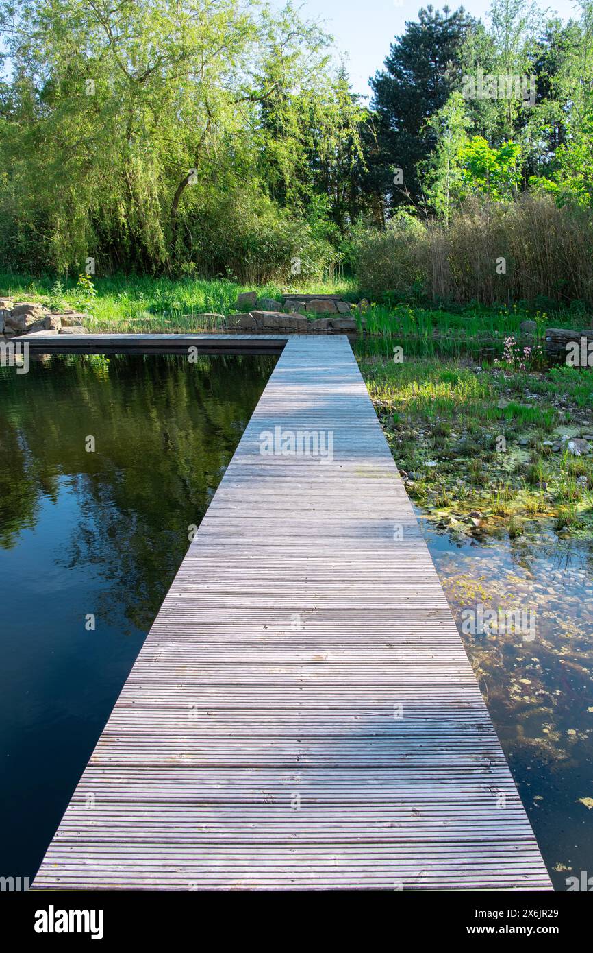 Footbridge at the pond in the natural garden, practical nature ...