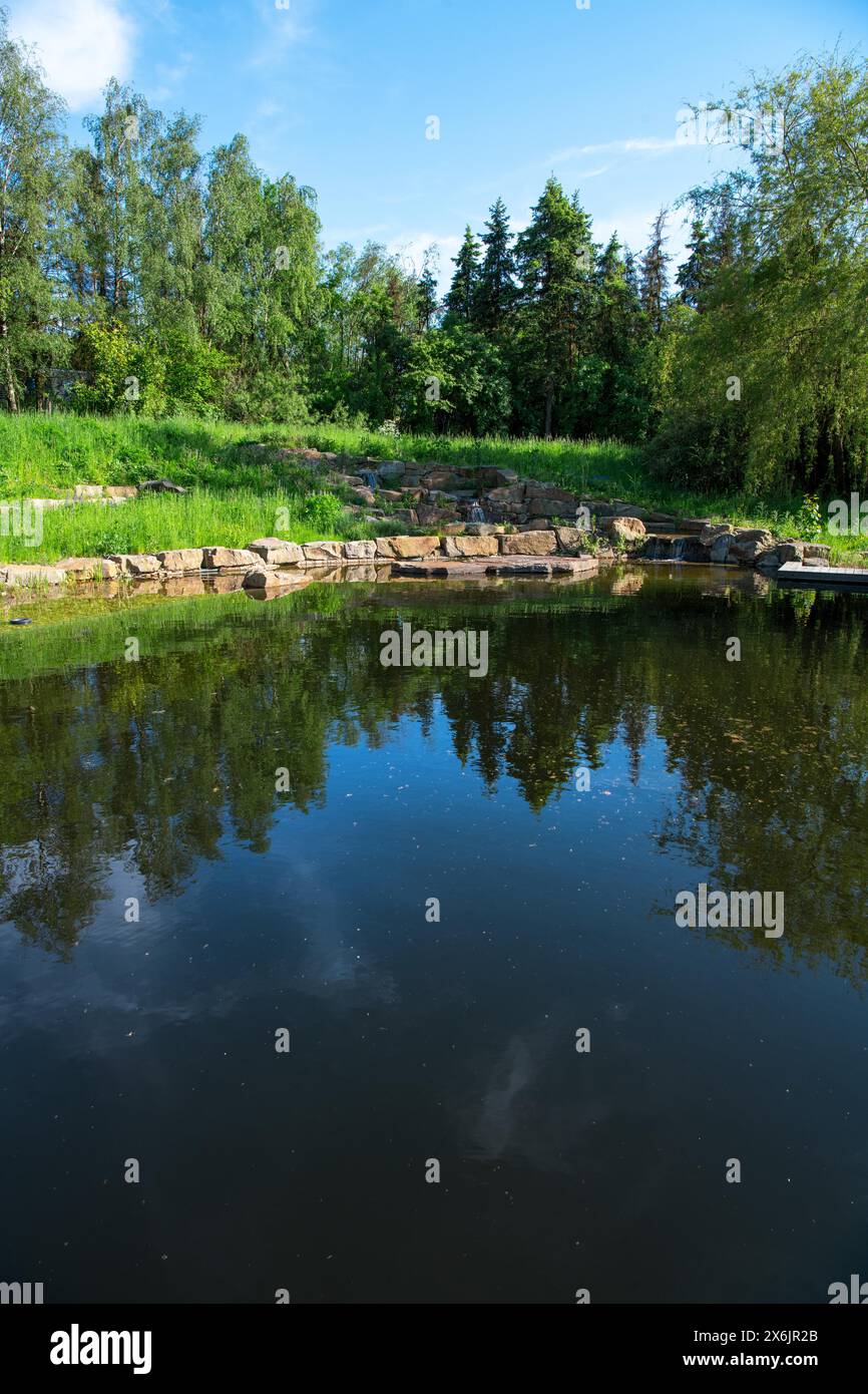 Pond in a natural garden, practical nature conservation, biotope for ...