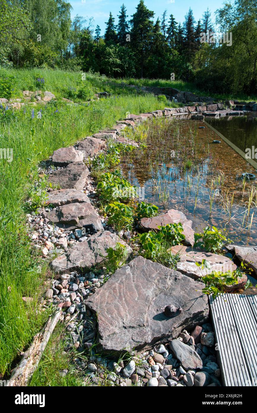 Pond in a natural garden, practical nature conservation, biotope for ...