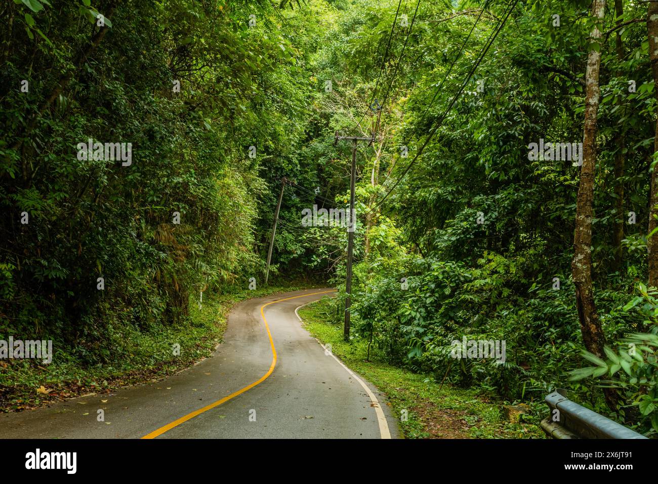 Two lane paved country road through rainforest in Thailand in Thailand ...