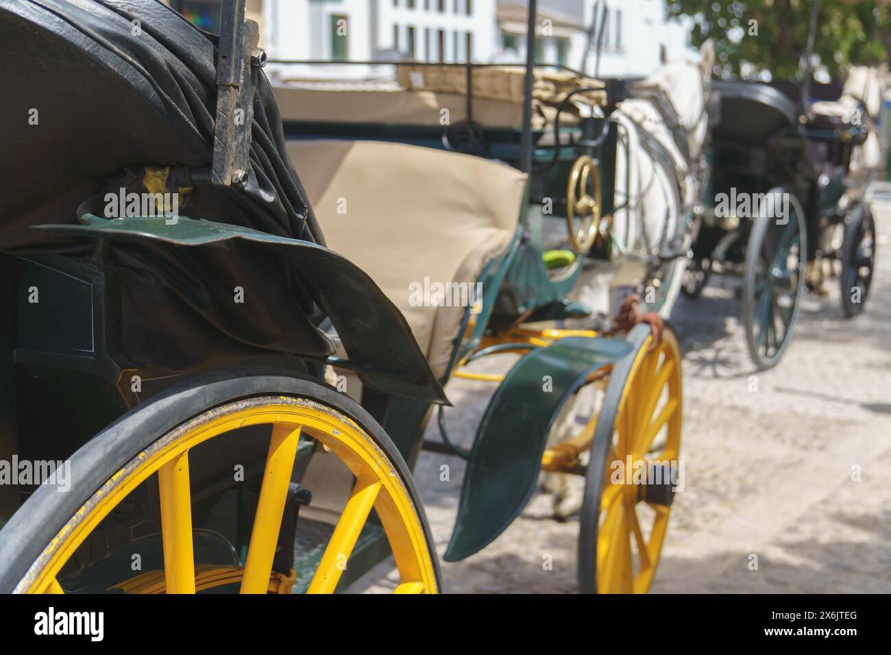 Rear view of a tourist horse-drawn carriage in a city square Stock ...