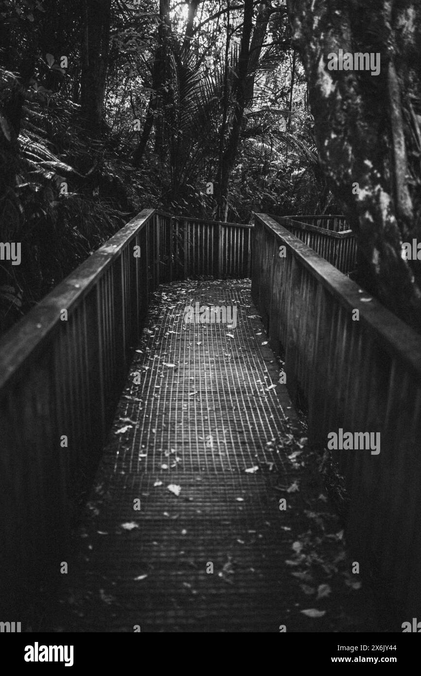 In auckland island Black and White Stock Photos & Images - Alamy