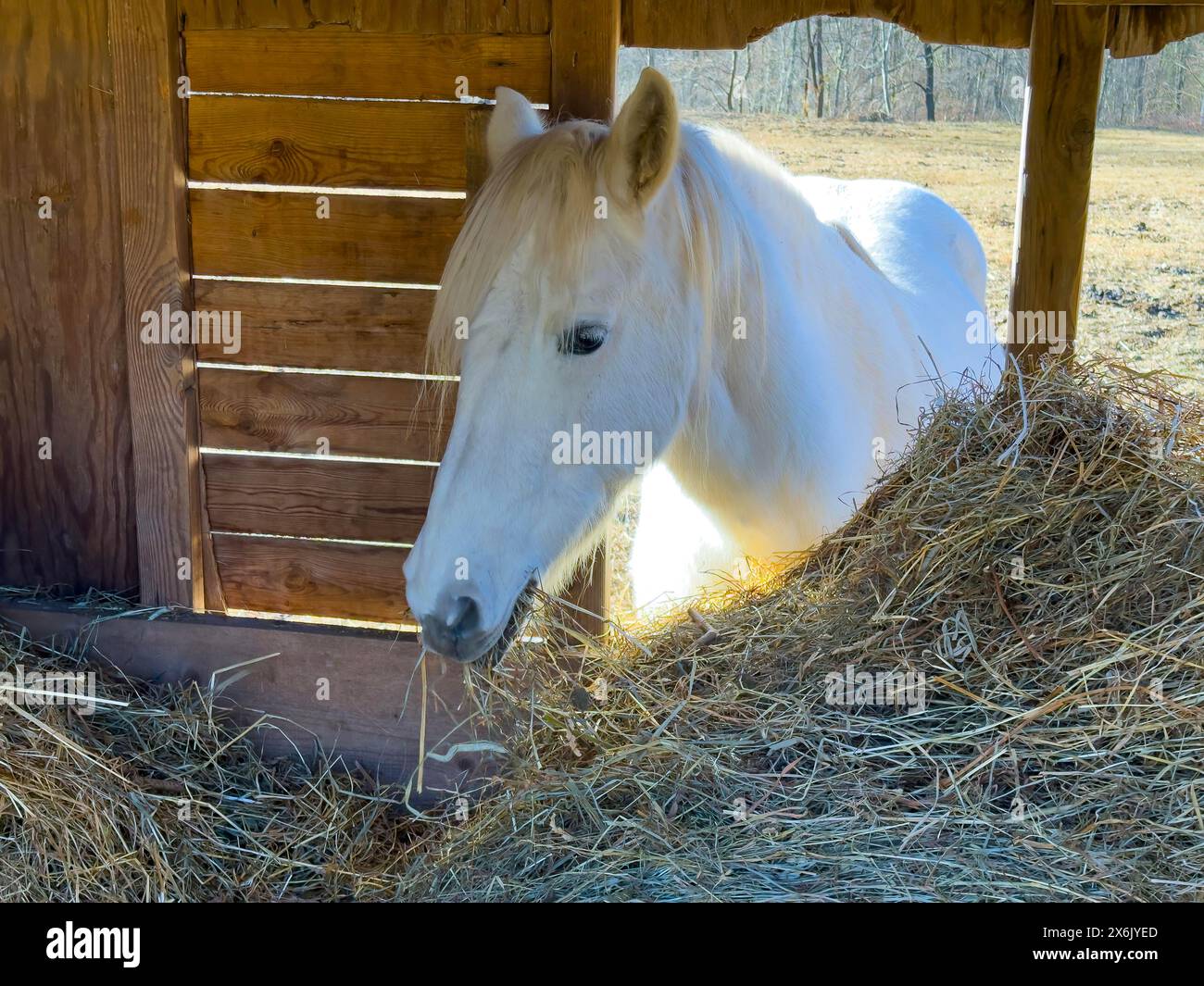 Wooden hay barn hi-res stock photography and images - Alamy