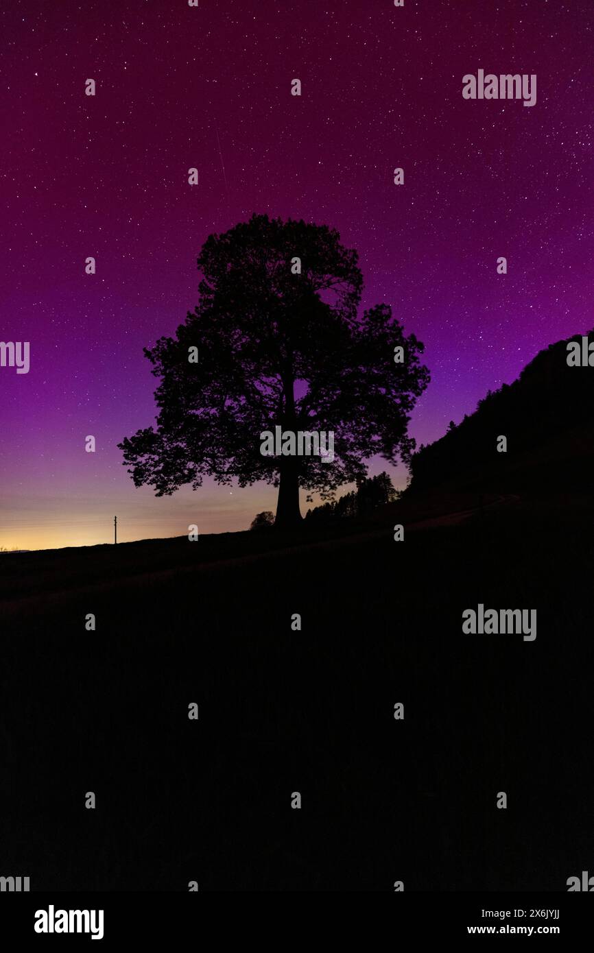 Aurora and silhouette hi-res stock photography and images - Alamy