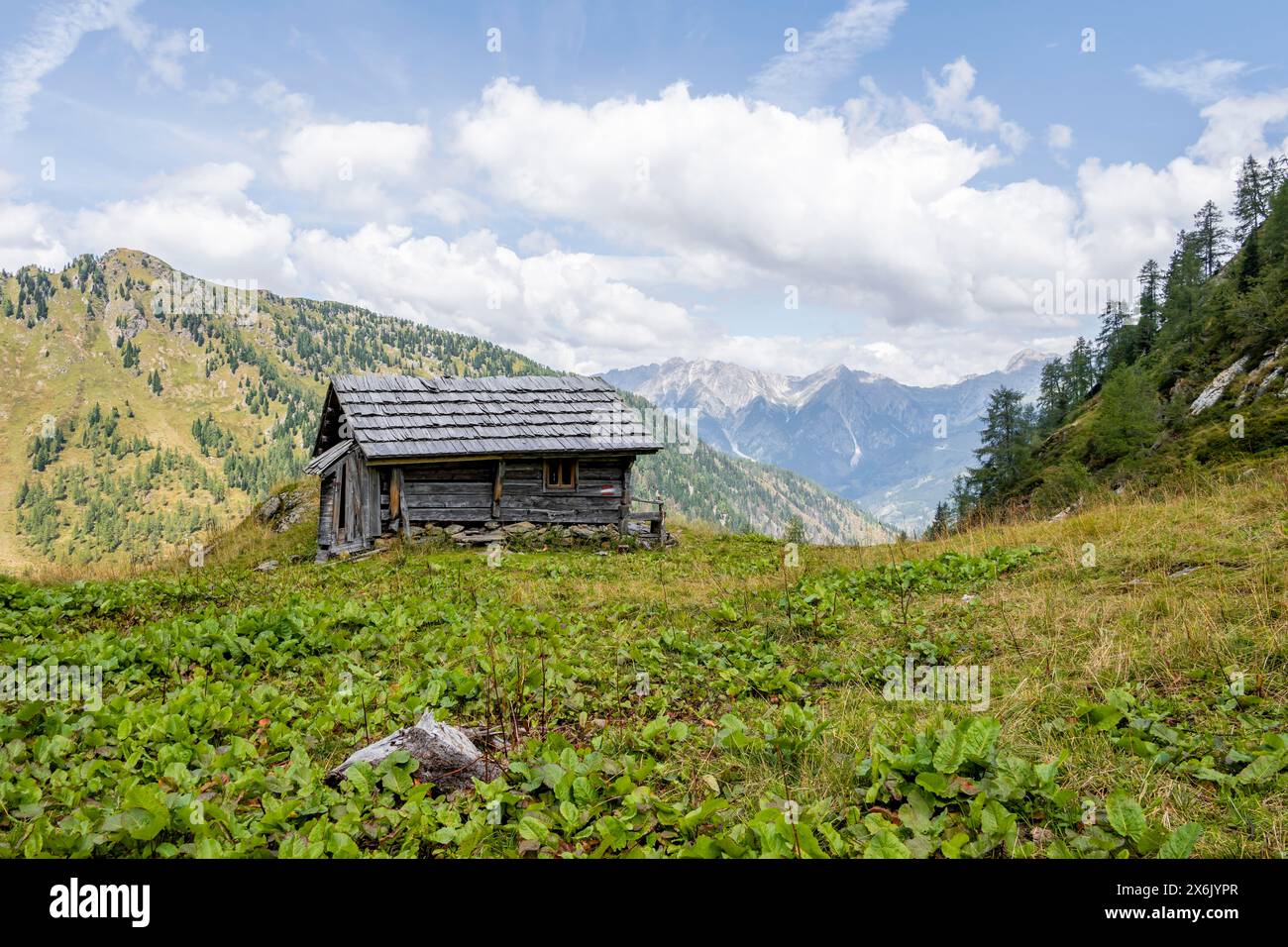 Hut, barn between green mountain meadows, Carnic Main Ridge, Carnic ...