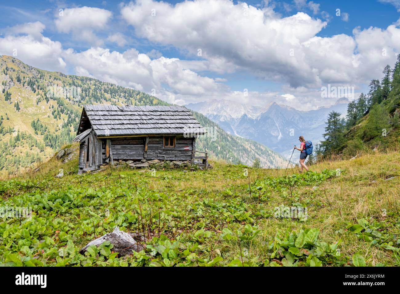 Hiker in front of hut, Stadl between green mountain meadows, Carnic ...