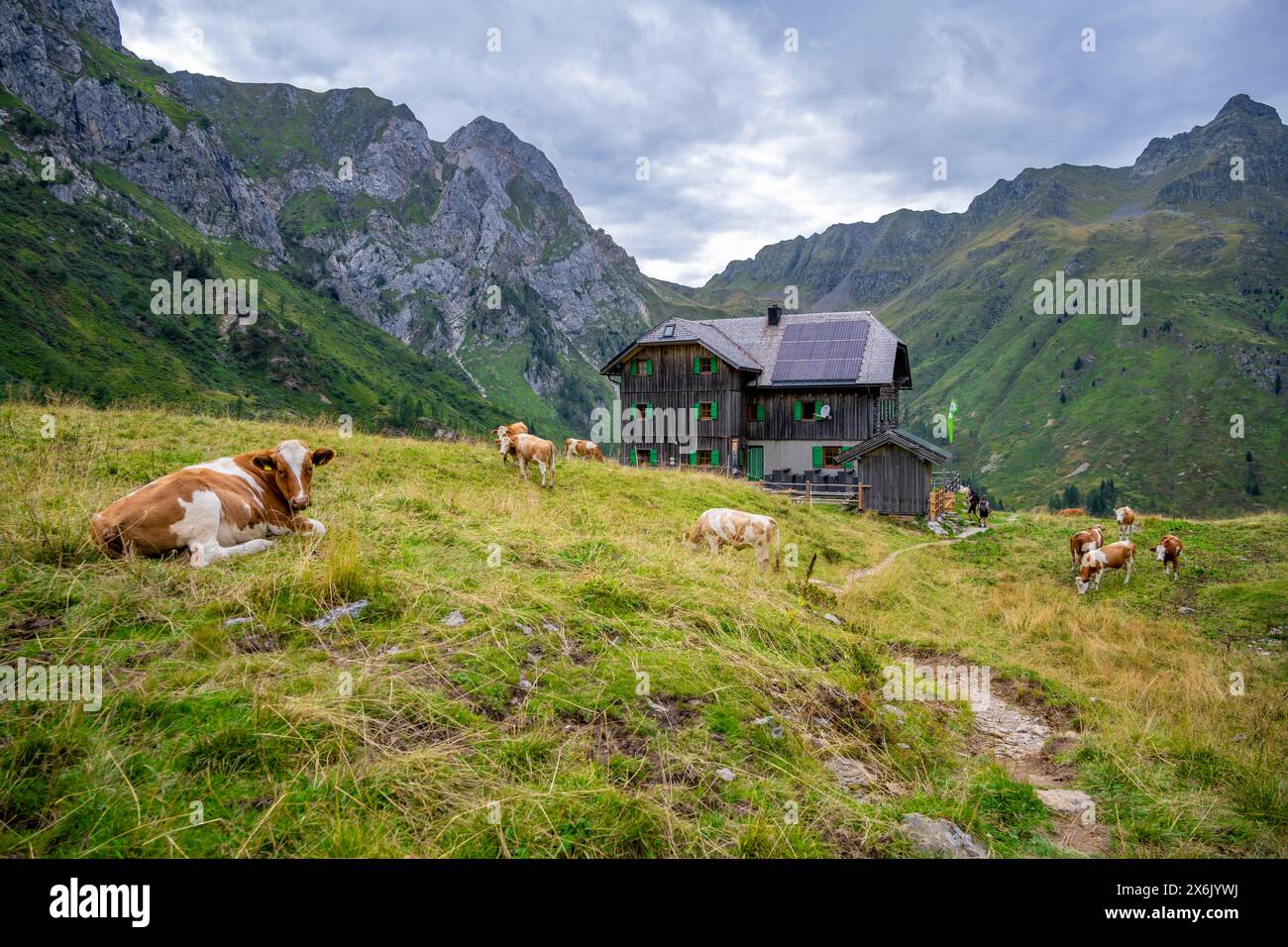 Cattle ridge hut hi-res stock photography and images - Alamy