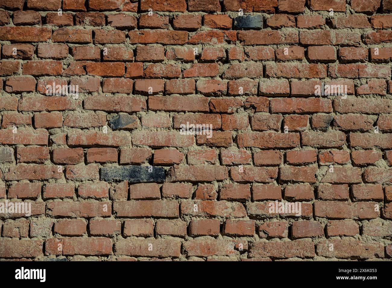 The background is an old brick wall. The wall is made of red ceramic ...