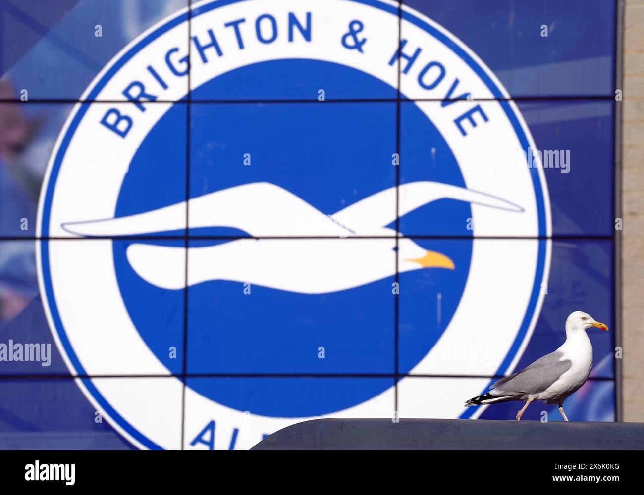 Brighton football club badge hi-res stock photography and images - Alamy