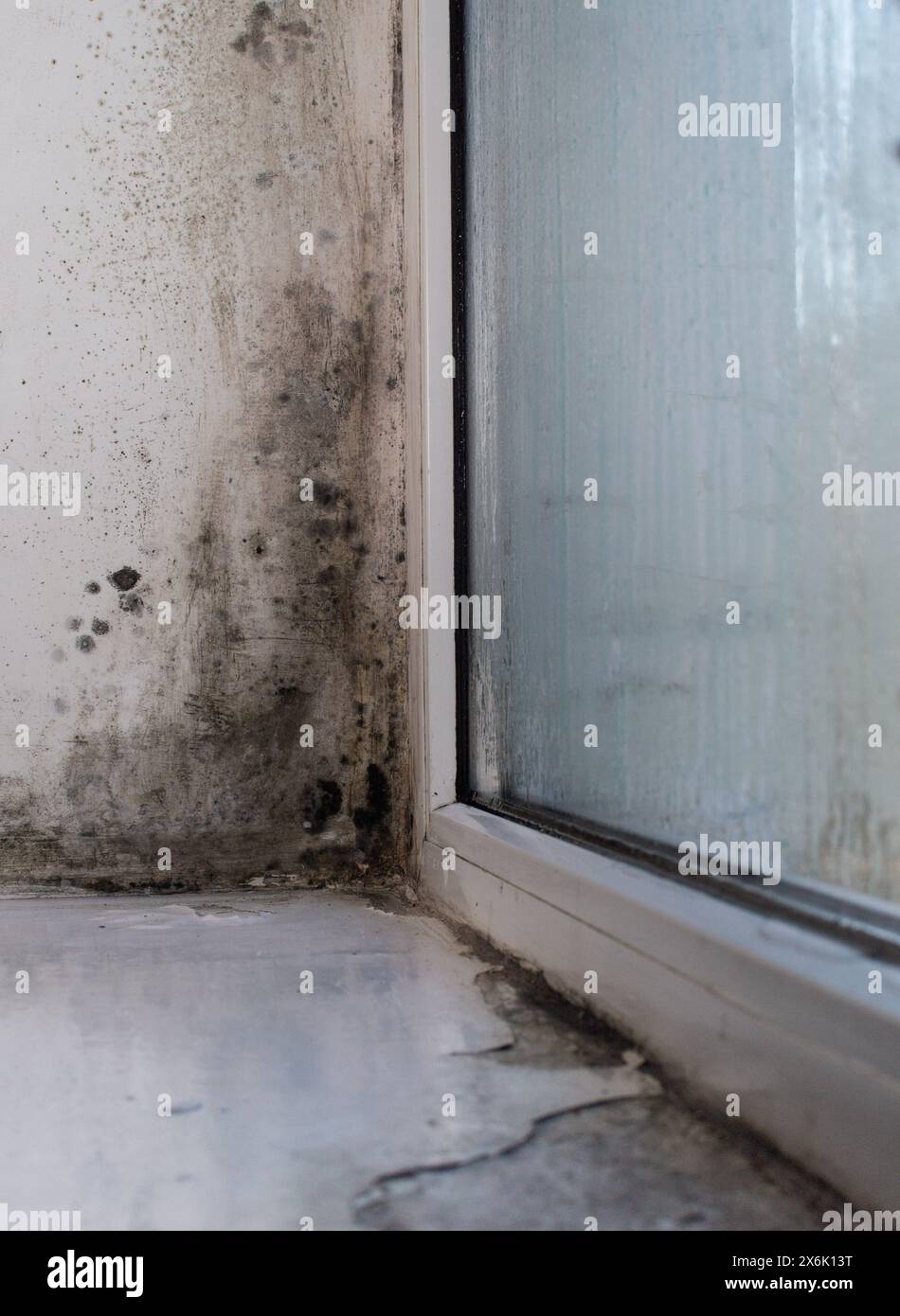 mold on the fogged window. vertical Stock Photo - Alamy