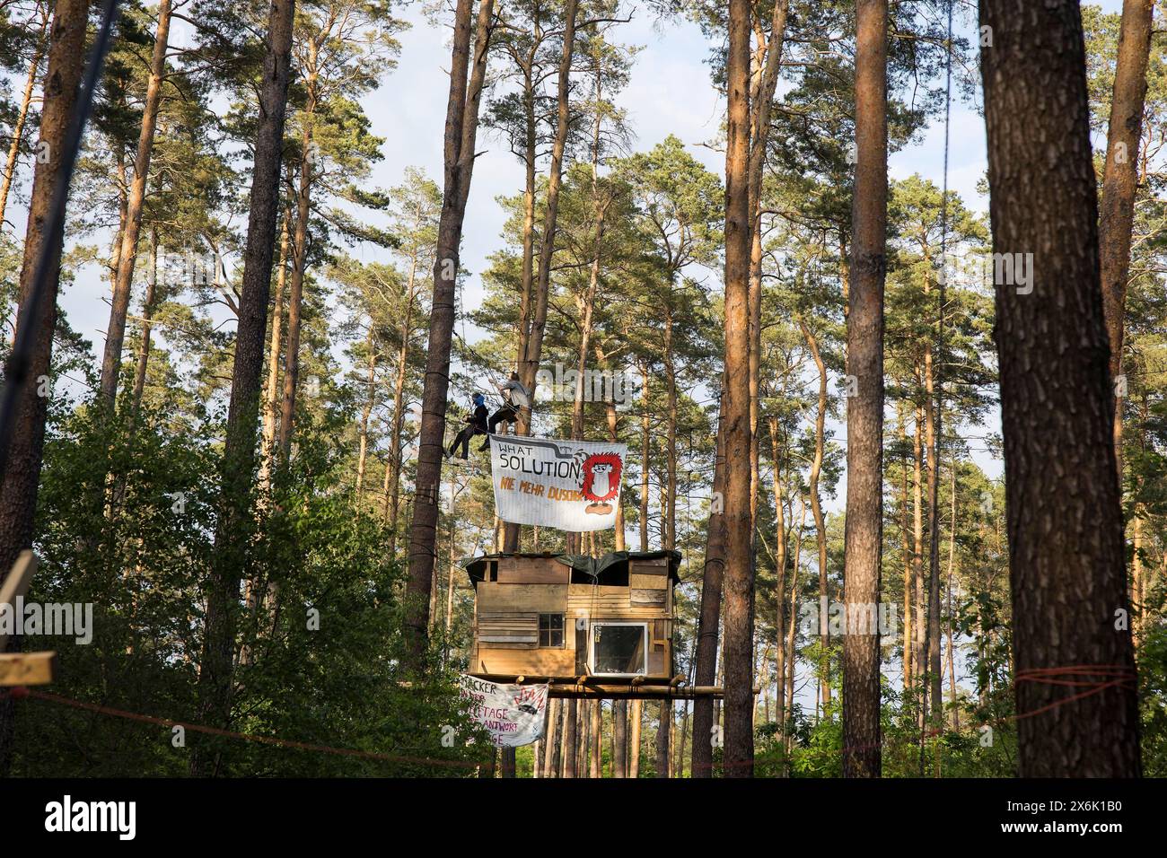 Two people swing above a tree house in the occupied section of the ...