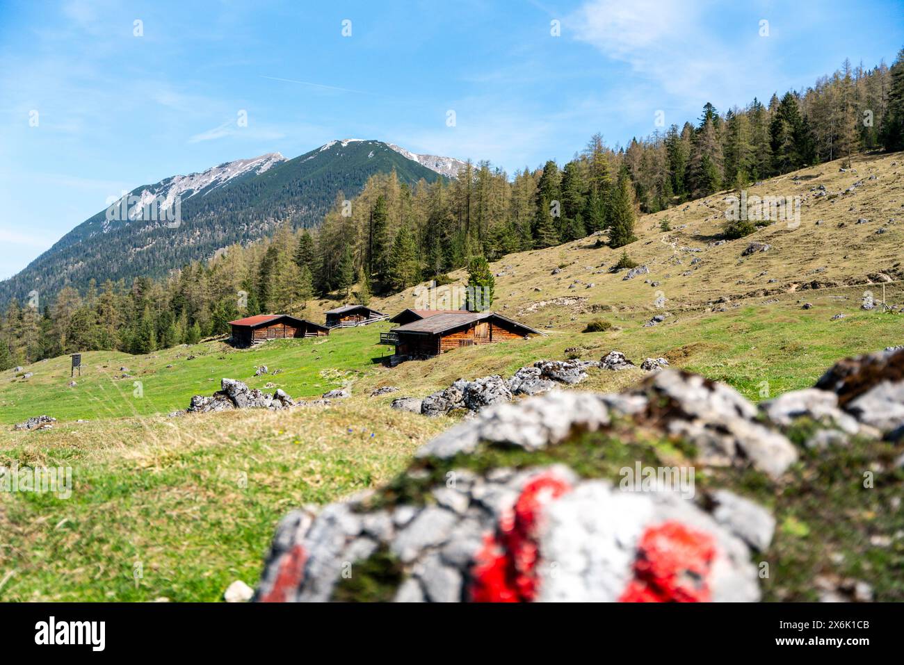 Alpine pasture landscape, Austria Stock Photo - Alamy