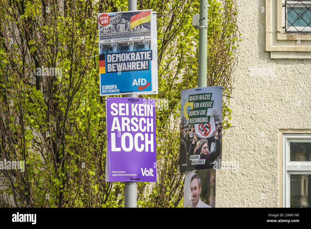 Volt, AfD, The Greens, election posters for the 2024 European elections ...