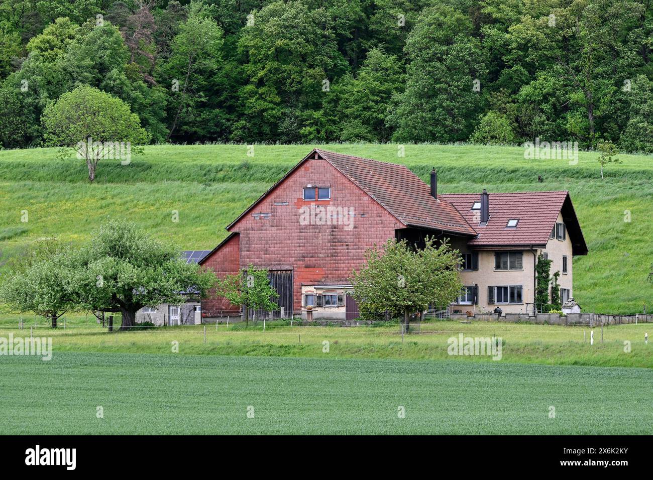 Home individual hi-res stock photography and images - Alamy
