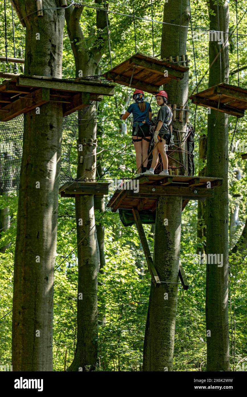 Group of young woman, girls climbing in the climbing forest, platforms ...