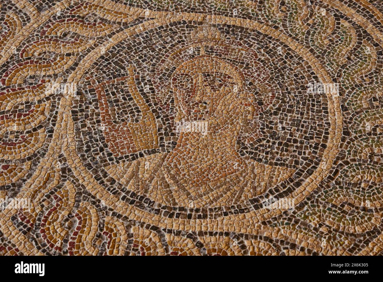 Erato, the muse of love poetry, zither, one of the nine muses, mosaic ...