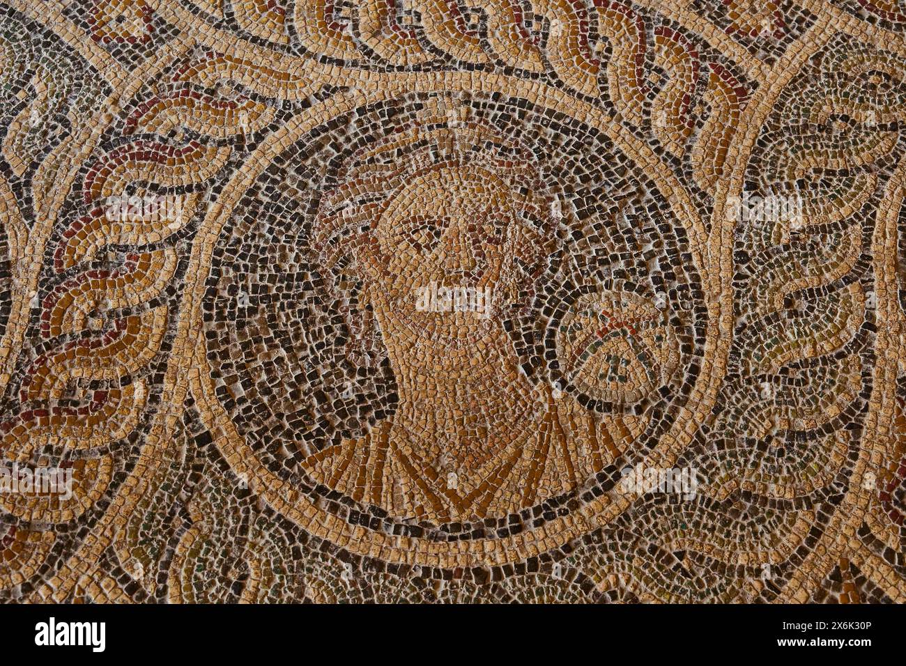 Urania, the muse of astronomy, starry globe, one of the nine muses ...