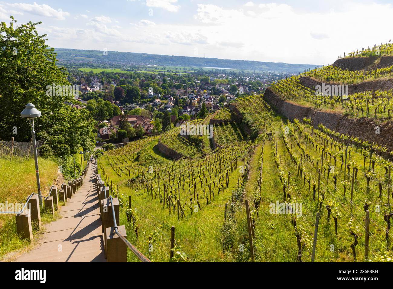 Winery at the Goldener Wagen. Spitzhaustreppe, Radebeul, Saxony ...