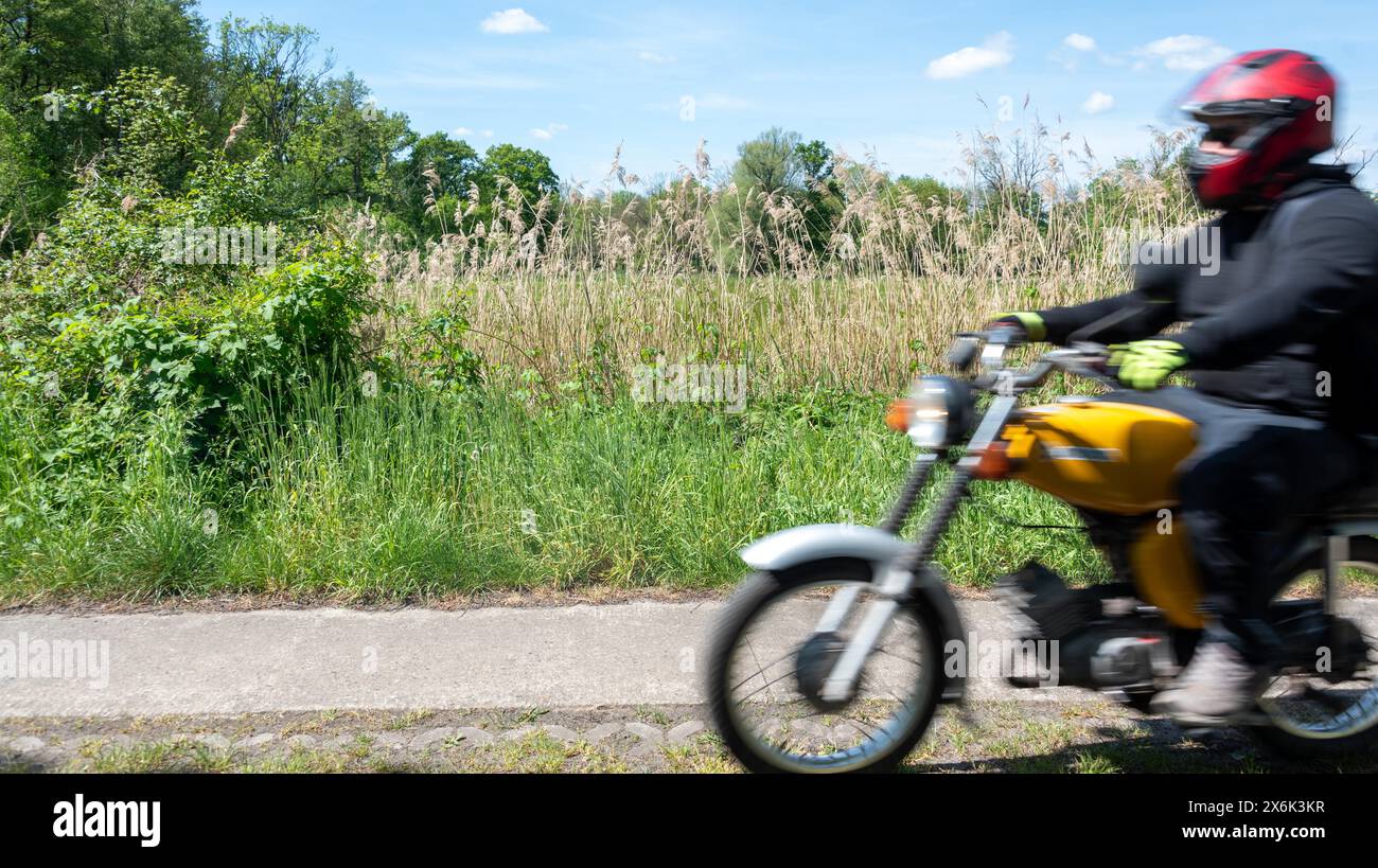 Motorbike passes a field at speed, flowering strip, Droemling Biosphere ...
