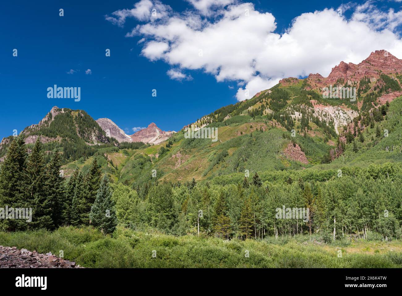 A vast landscape of various vegetation forests and picturesque scenery ...