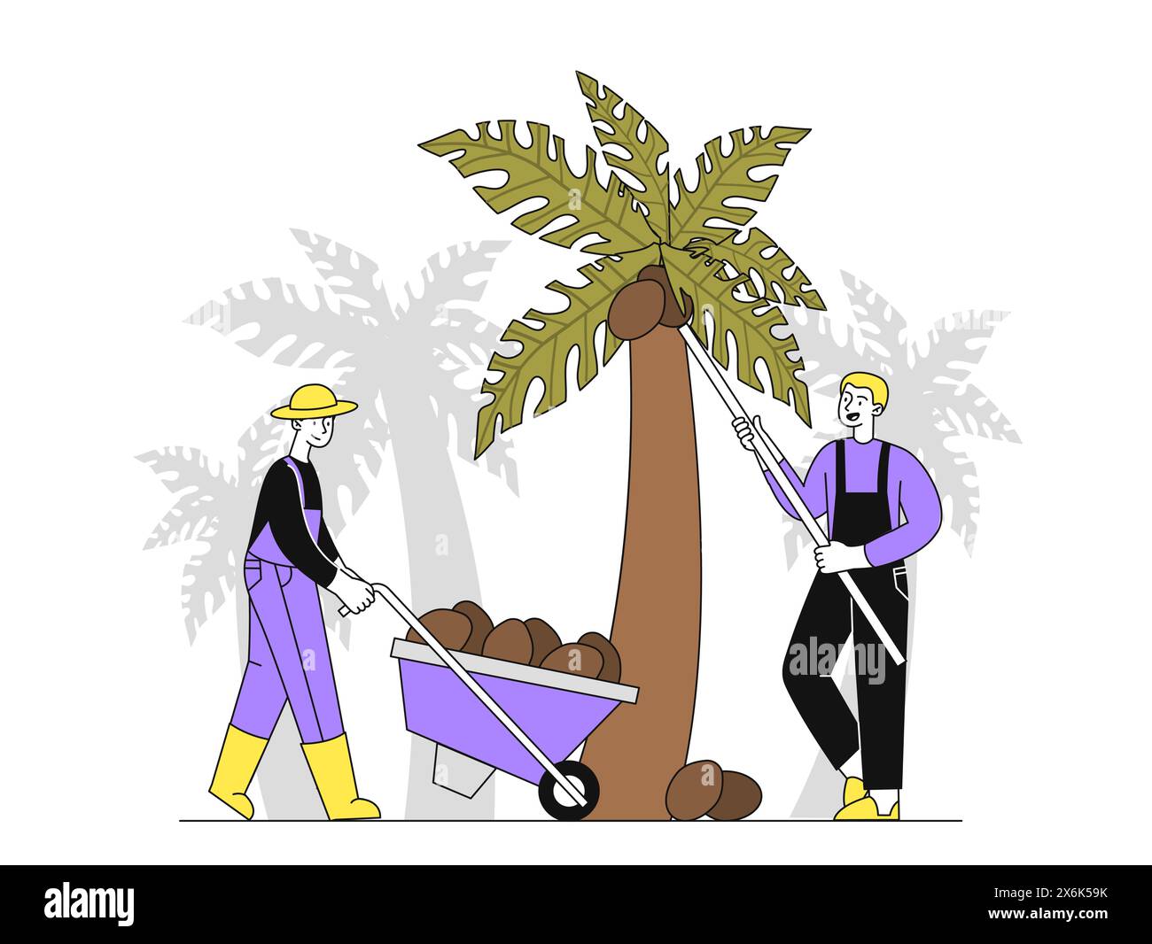 Oil palm plantation Stock Vector Images - Alamy